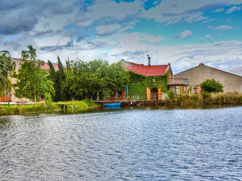 Featured winery – Springfield Estate - Made on Honour - BraveNewWorld.Wine