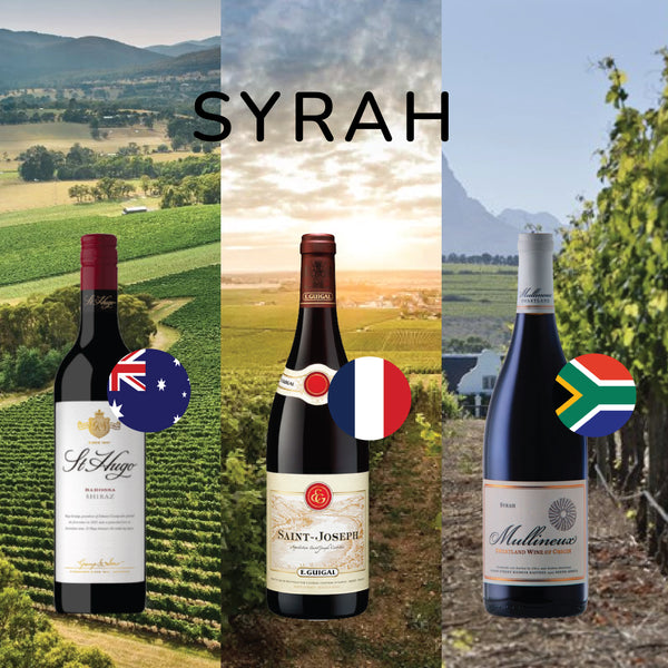 Exploring Wines Across Continents