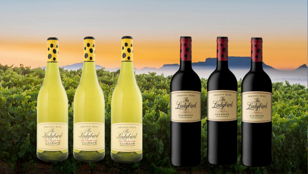 Get to Know Ladybird Vineyards